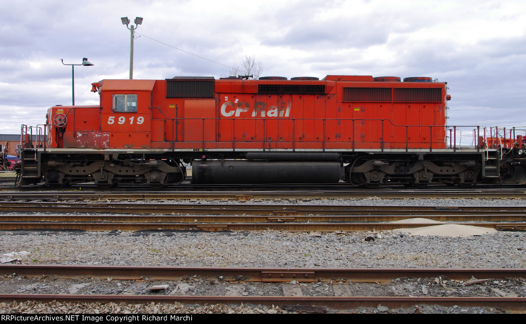CP 5919